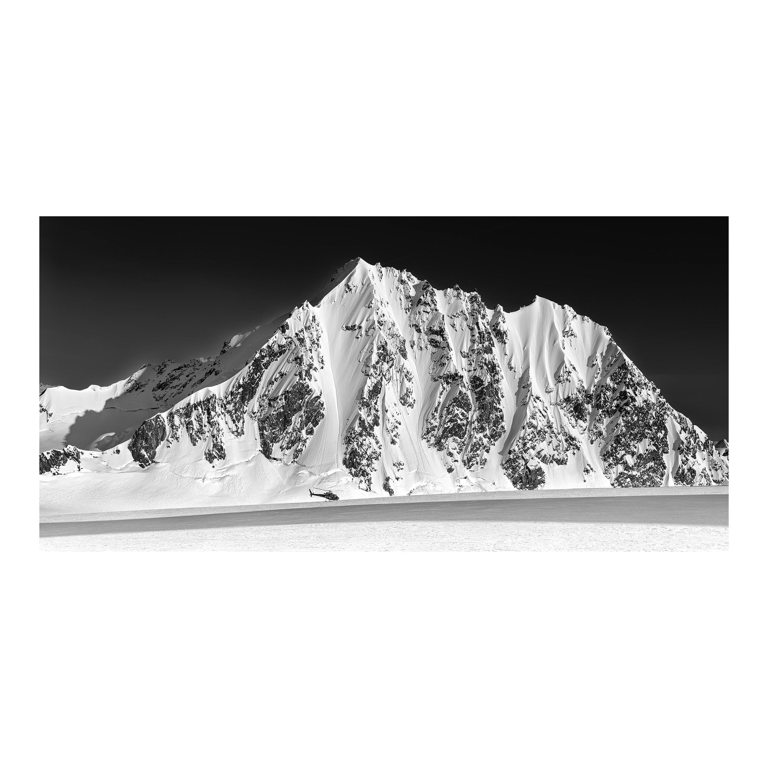 Bold Sphinx – HarroArt